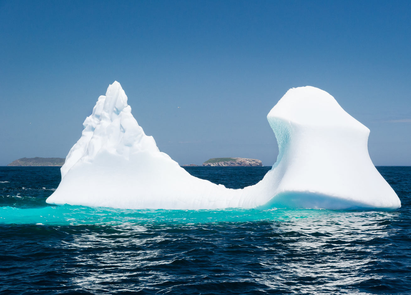 Newfoundland Iceberg Tour - Molly Bawn