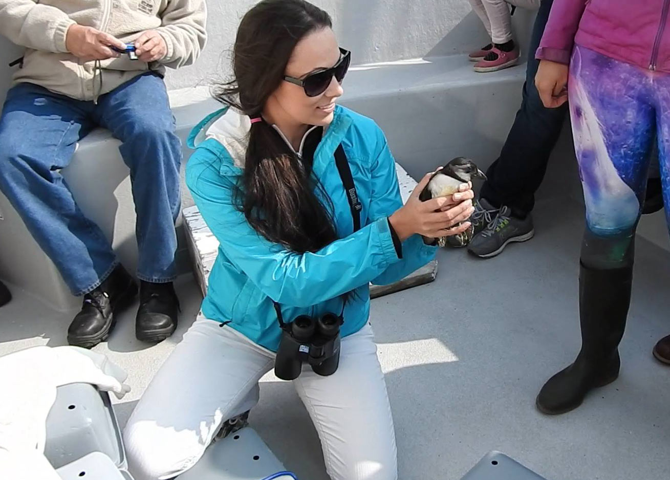 Newfoundland Puffin Tour - Molly Bawn